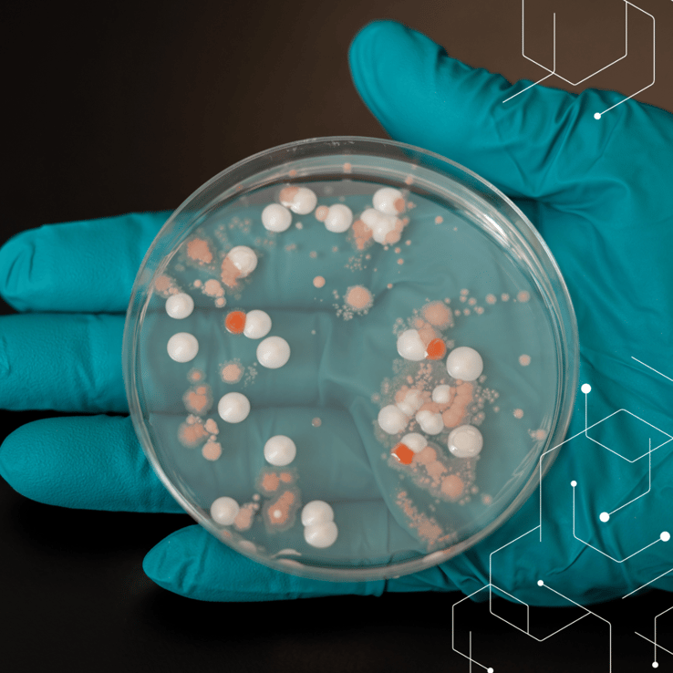 USP 797 FAQs: Positive and Negative Controls