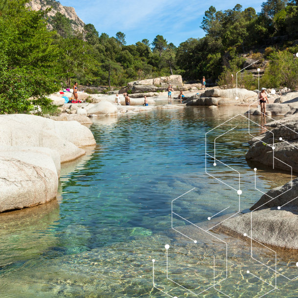 Using Fecal Source Tracking to Detect and Identify Fecal Contamination ...