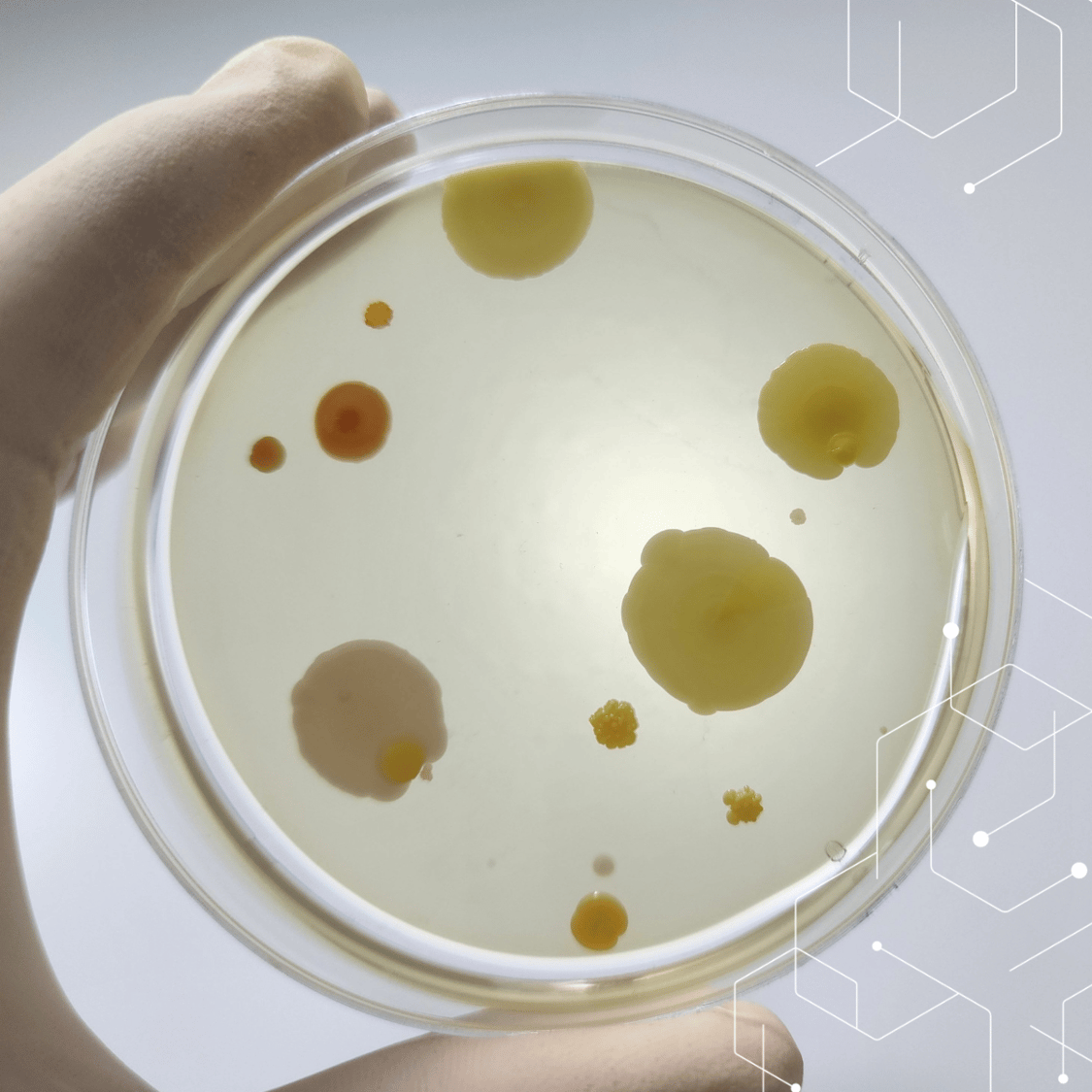 USP Q&A: Sampling Pass-Throughs